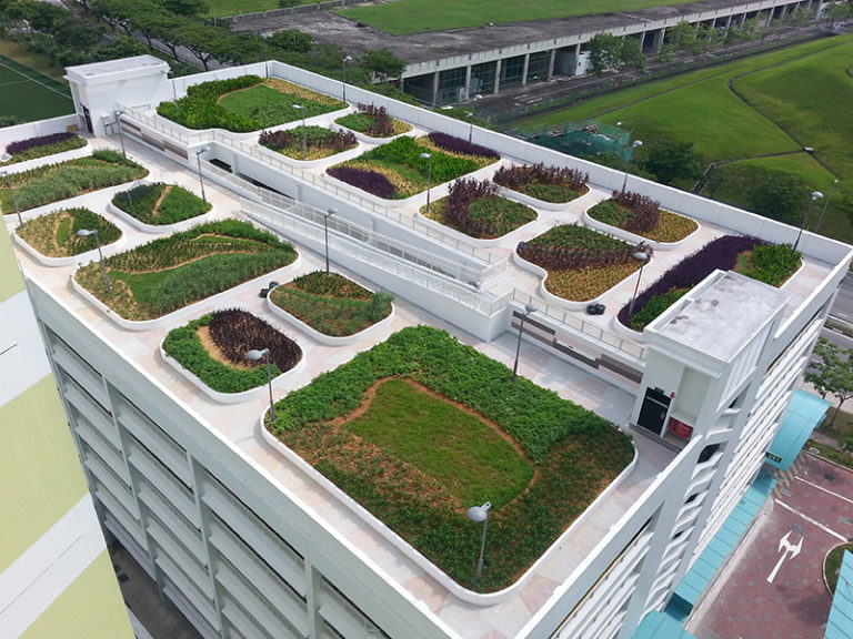 Cubiertas ajardinadas | AIFIm